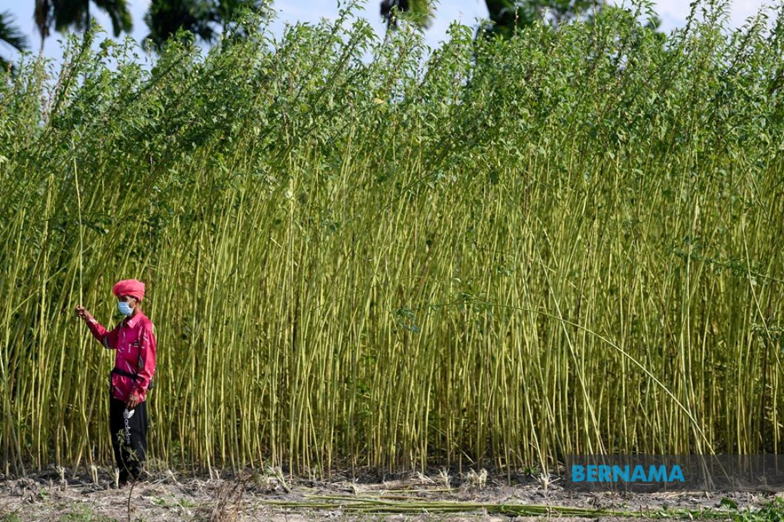 Budget 2023: Govt targets 800 acres of idle land to help strengthen ...